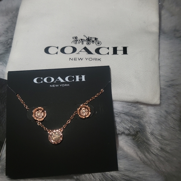 Coach | Jewelry | Coach Rose Gold Necklace And Earrings | Poshmark